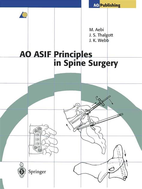 Ao Asif Principles In Spine Surgery 9783642637469 Aebi