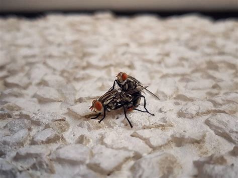 50 50 Fly Sex NSFW Beautiful Cleveland Sunrise SFW R FiftyFifty