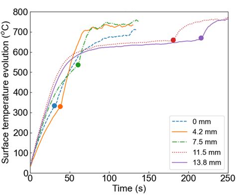 Examples Of Surface Temperature Evolutions Of The Virgin Wood And