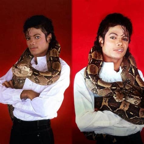 Theory Lord Voldemort Was Known In The Muggle World As Michael Jackson Rharrypotter