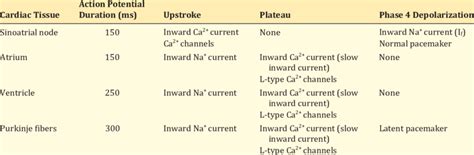 Comparison Of Action Potentials In Cardiac Tissues Download