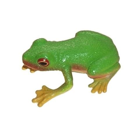 Red Eyed Green Tree Frog Replica By Science And Nature
