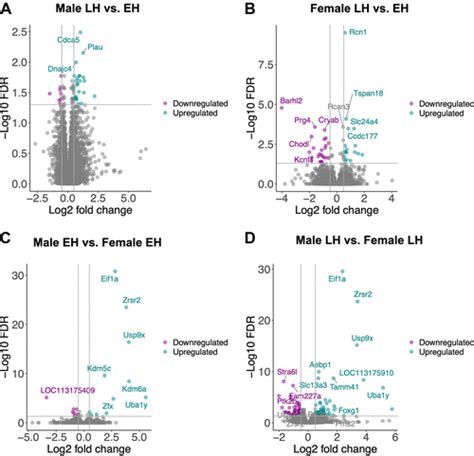 The Transcriptomes Of Hypothalamic Micropunches Reveal Sex Differences