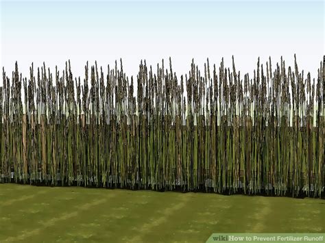 How To Prevent Fertilizer Runoff Steps With Pictures