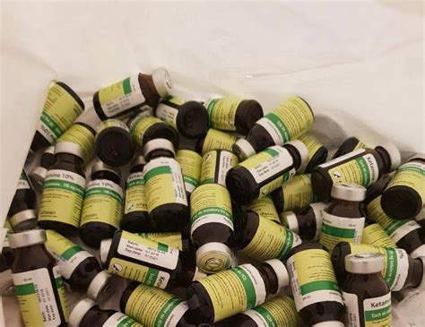 𝐊𝐞𝐭𝐚𝗺𝐢𝐧𝐞 𝐊𝐞𝐭𝐢𝗺𝐢𝐧𝐞𝐬𝐞𝐞 𝐢𝗺𝐢𝐧𝐞 Psychedelics