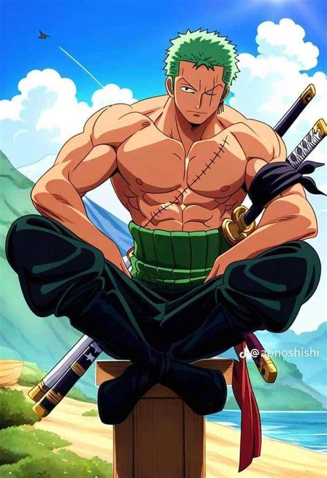 Zoro Full Body Picture