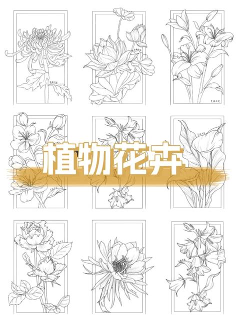 【线稿临摹素材】板绘线稿素材大合集，初学者临摹必备素材！！9000无偿分享 哔哩哔哩