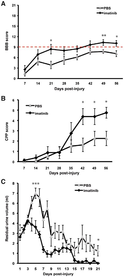Imatinib Enhances Functional Outcome A Hindlimb Locomotor Function