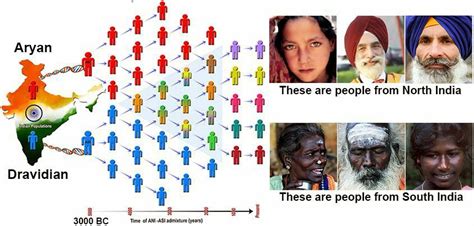 Atlantean Gardens Scientific Research On The Aryans