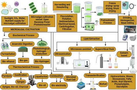 Schematic Diagram For Production Of Microalgal Based Biorefinery