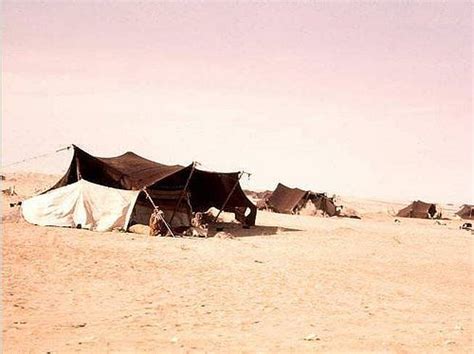 Bedouin Tent In Saudi Arabia 1960s