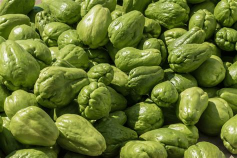 Can You Eat Chayote Raw Food For Net