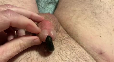 Leech Deep Inside 1