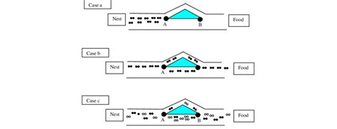 How The Real Ants Find A Shortest Path Download Scientific Diagram