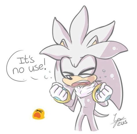 258 Best Silver The Hedgehog Images On Pinterest Friends Cat And Couples