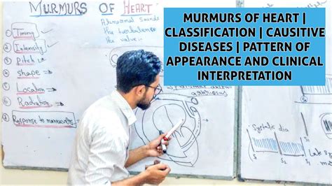 Heart Murmurs Classification Of Murmurs Causitive Diseases And