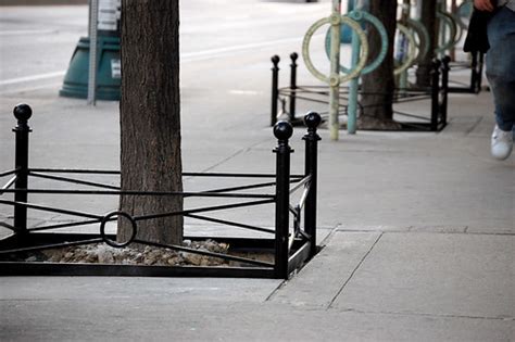 The Design Of Tree Pits Spacing Toronto Spacing Toronto