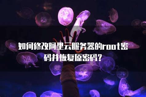 香港阿里云服务器崩溃了怎么办啊 资讯 典名科技