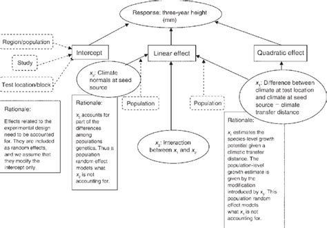 Graphical Summary Of The Fitted Linear Mixed Effects Quadratic Model