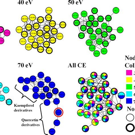 Evaluation Of The Molecular Families Consisting Of Flavonoids Computed