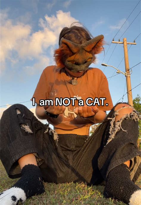 🦄 Phenicfox ˗ˏˋ Phenic ★ ´ˎ˗ Tiktok