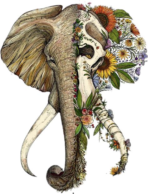 Download Floral Elephant Skull Tattoo Art