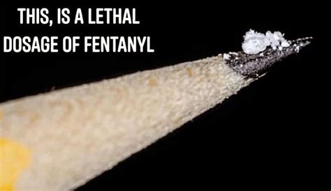 Ministry Responds To Reported Fentanyl Overdoses At Westgate