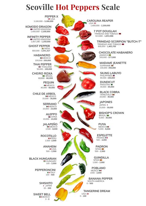 Poster Della Scala Di Scoville Per Peperoncini Piccanti Arte Murale