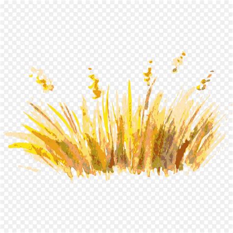 秋天枯草矢量插画png图片素材下载图片编号qlwbjgry 免抠素材网