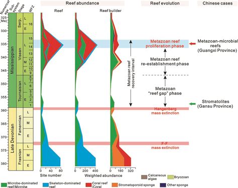 Chinese Samples Witnessed Reef Evolutionary Process After The Late