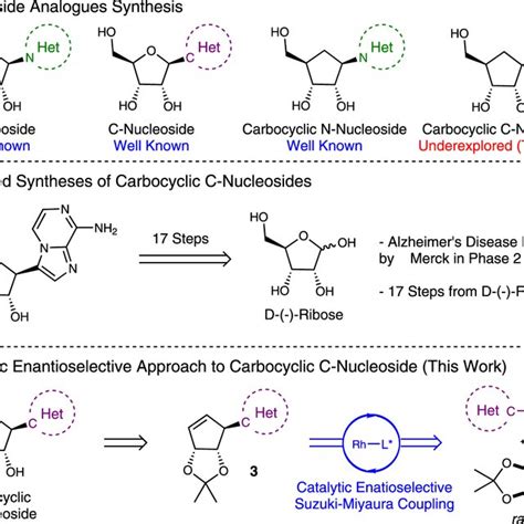 Synthesis Of Carbocyclic Showdomycin Post Synthetic Modification Of