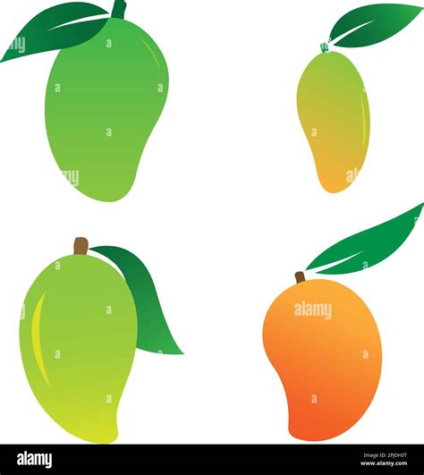 Mango Logo Vector Icon Template Stock Vector Image And Art Alamy