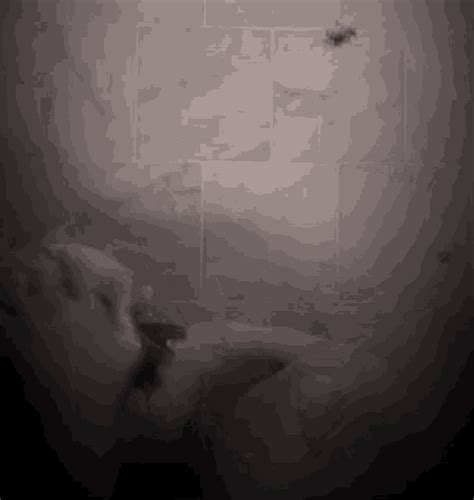 Jared Padalecki Jarevieve  Jared Padalecki Jarevieve Shirtless Բացահայտեք  պատկերներ և