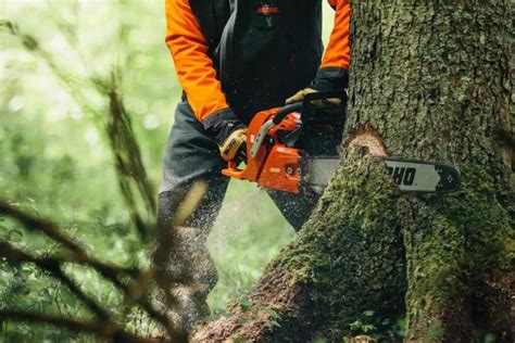 The Best Echo Chainsaws Picks From Bob Vila
