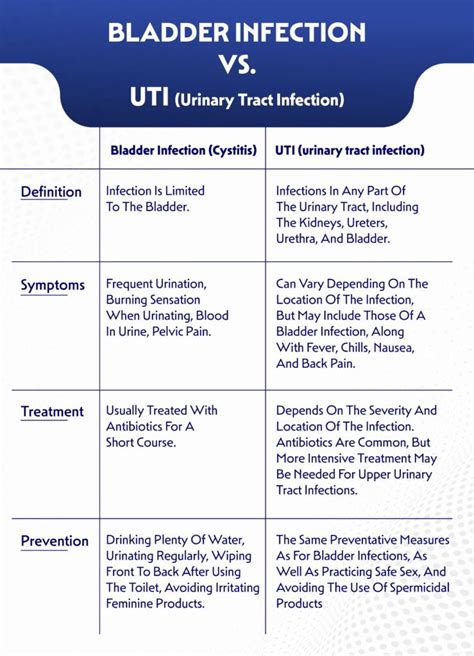 Bladder Infection In Men Antibiotics