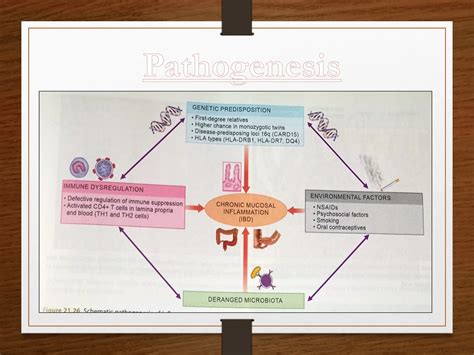 Inflammatory Bowel Disease Crohns Vs Uc Ppt Free Download