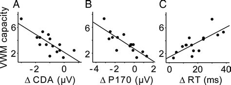 Memory Capacity Correlations With Neural Activity And Behavior During Download Scientific