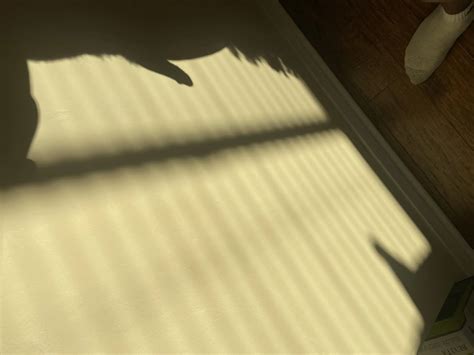 Shadows 5 Pics Xhamster