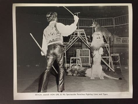 Vintage Circus Lion Tamer Vintage Circus Posters In Pictures Art