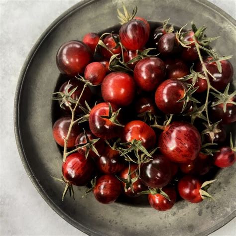 How To Sow And Grow Tomatoes She Grows Veg