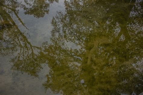 the season of transience and fugitive emotions a tribute to the kashmiri autumn — by mir yasir