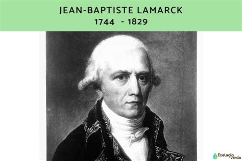 Teoría De Lamarck Qué Es Ejemplo E Importancia Resumen