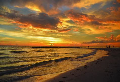 Honeymoon Island State Park Florida State Parks