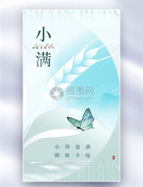 大气简约小满节气海报模板素材 正版图片402470239 摄图网