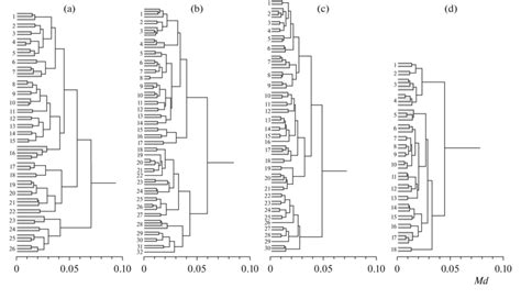 Dendrograms Of Similarity Between В Intermedius Fish Of Generalized
