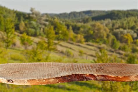 오래된 나무 보드 흐리게 된 자연 배경에 초점을 맞춘 테이블입니다 제품을 위한 여유 공간 디자인모형 0명에 대한 스톡 사진 및 기타 이미지 Istock