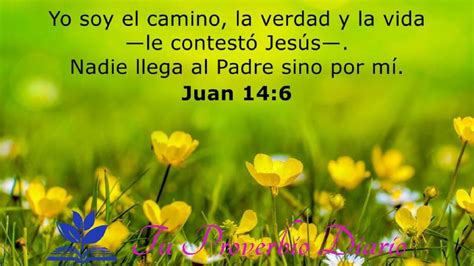 Reflexión Cristiana Sobre Juan 146 El Camino La Verdad Y La Vida
