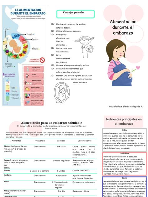 Alimentación Saludable En El Embarazo Pdf Alimentos El Embarazo