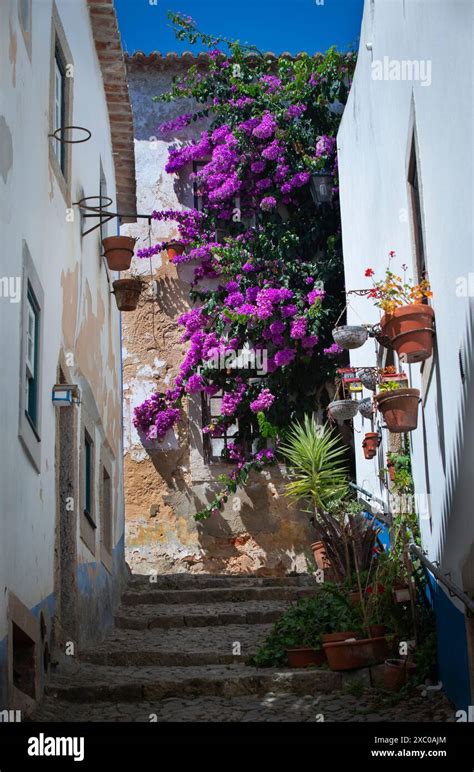 Small Street Óbidos Portugal A House Cat Sits In The Shade Below A