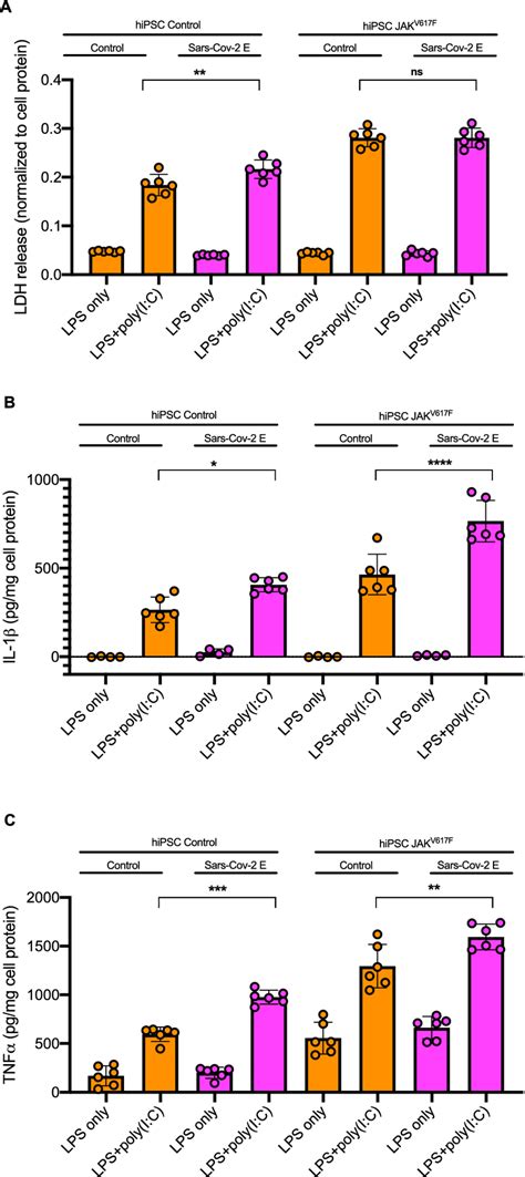 E Protein Mediated Inflammasome Activation Is More Pronounced In Download Scientific Diagram